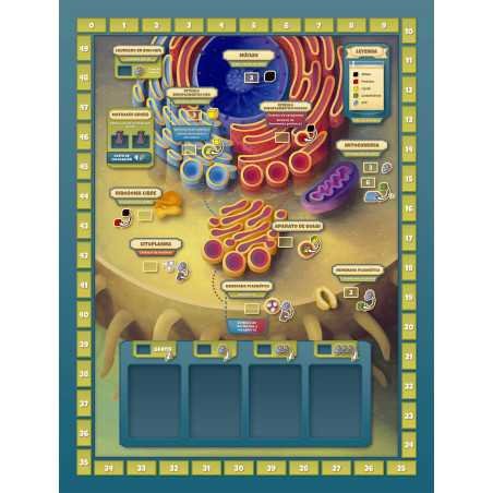 Cytosis Big Box Un juego de biología celular